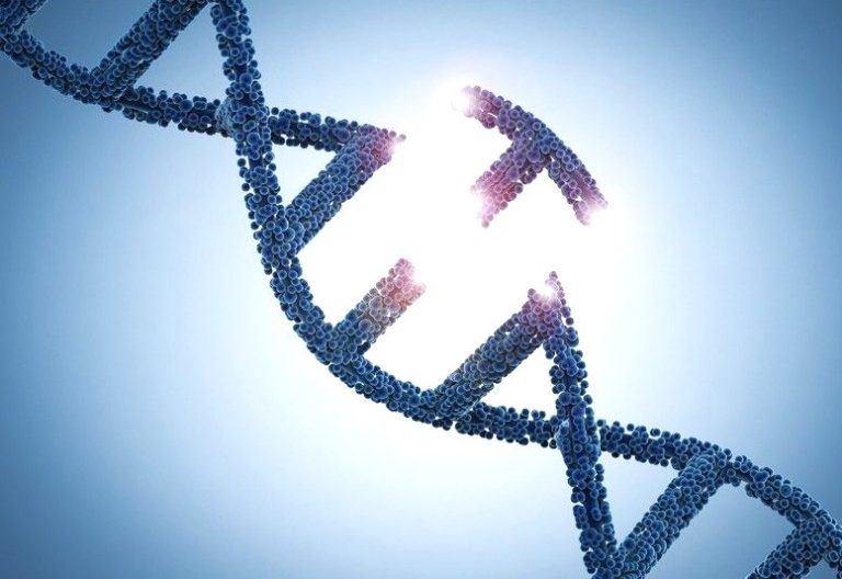 Understanding the mechanism of base editing and its impact on DNA ...